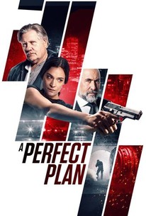 A Perfect Plan (2020) | Rotten Tomatoes