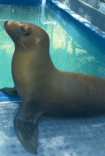 Matilda and The Ramsay Bunch: Season 2, Episode 5 - Rotten Tomatoes