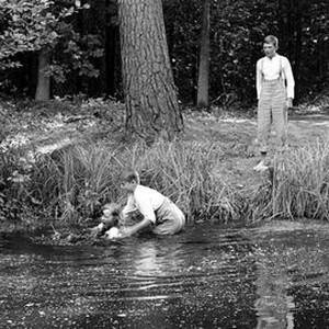 Enno Trebs - Rotten Tomatoes