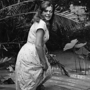 Lynn Redgrave - Rotten Tomatoes