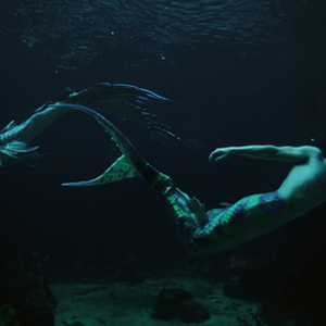 MerPeople - Rotten Tomatoes