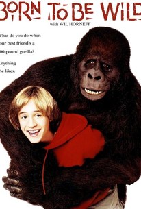Born to Be Wild | Rotten Tomatoes