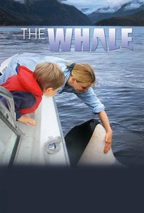 The Whale | Rotten Tomatoes