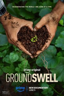 Groundswell (2026) | Rotten Tomatoes