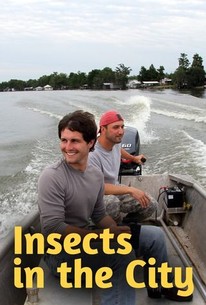 Insects in the City | Rotten Tomatoes