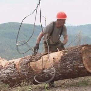 Ax Men - Rotten Tomatoes