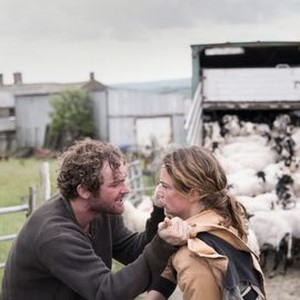 Dark River - Rotten Tomatoes