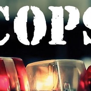 Cops: Season 17, Episode 16 - Rotten Tomatoes