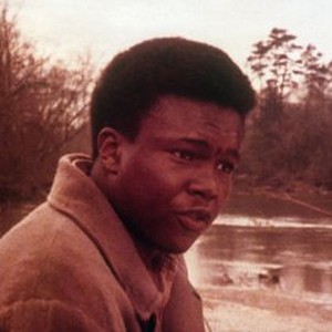 Sounder Part II - Rotten Tomatoes