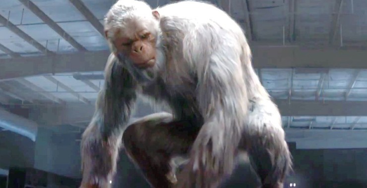 Goosebumps - Rotten Tomatoes