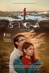 Sica | Rotten Tomatoes
