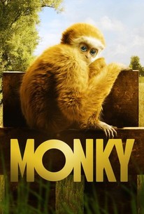 Monky | Rotten Tomatoes