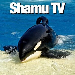 Shamu TV - Rotten Tomatoes