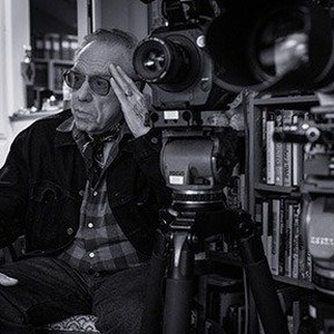 The Great Buster: A Celebration - Rotten Tomatoes