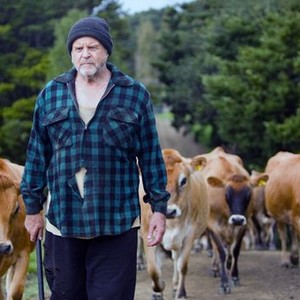 Bellbird - Rotten Tomatoes