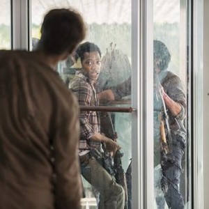 Tyler James Williams - Rotten Tomatoes