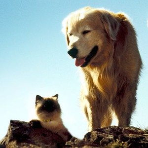 Homeward Bound: The Incredible Journey - Rotten Tomatoes