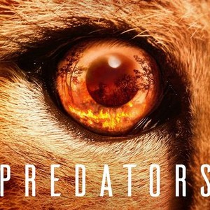 Predators - Rotten Tomatoes