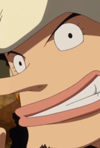 One Piece: Season 15, Episode 1 - Rotten Tomatoes