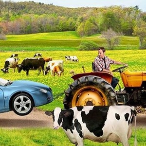 Finding Normal - Rotten Tomatoes