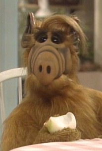 ALF: Season 3, Episode 16 | Rotten Tomatoes