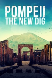 Pompeii: The New Dig: Season 1 | Rotten Tomatoes
