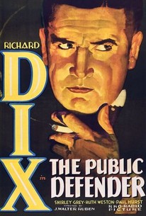 The Public Defender | Rotten Tomatoes