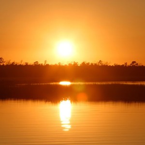 The Notebook - Rotten Tomatoes