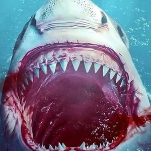 Sharkula - Rotten Tomatoes