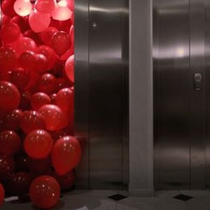 King on Screen - Rotten Tomatoes