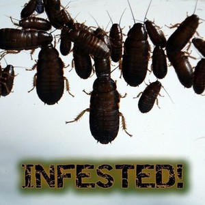 Infested!: Season 2, Episode 12 - Rotten Tomatoes