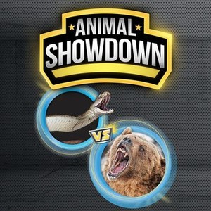 Animal Showdown - Rotten Tomatoes