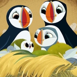 Puffin Rock: Season 1, Episode 3 - Rotten Tomatoes