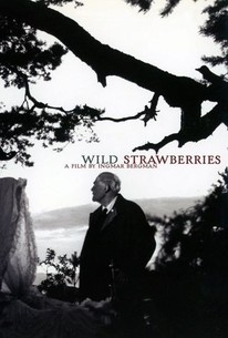 Wild Strawberries | Rotten Tomatoes