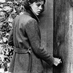 Jenny Agutter - Rotten Tomatoes