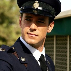 Colin Moss - Rotten Tomatoes