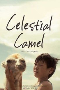 Celestial Camel | Rotten Tomatoes