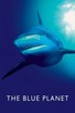 The Blue Planet: Season 1 | Rotten Tomatoes