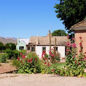 In With the Old - Rotten Tomatoes