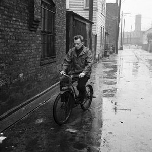 Algren - Rotten Tomatoes