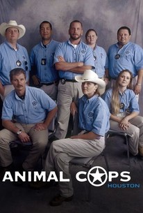 Animal Cops: Houston: Season 5 | Rotten Tomatoes