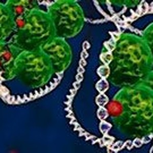 NOVA scienceNOW: Season 1, Episode 9 - Rotten Tomatoes