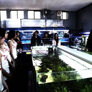 Cold Fish - Rotten Tomatoes