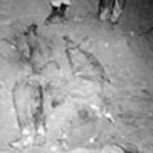 Neshoba: The Price of Freedom - Rotten Tomatoes