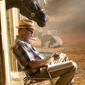 Ruffian - Rotten Tomatoes