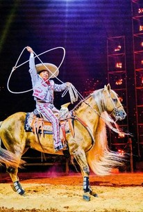 Go-Big Show: Season 1, Episode 10 - Rotten Tomatoes