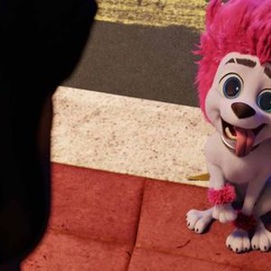 100% Wolf - Rotten Tomatoes