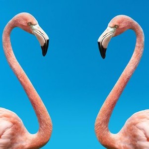 The Mating Game - Rotten Tomatoes