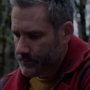 Between the Trees - Rotten Tomatoes