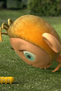 Waybuloo: Season 3, Episode 29 | Rotten Tomatoes
